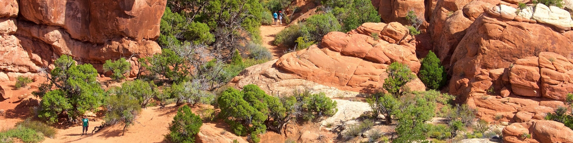 Fiery Furnace Viewpoint