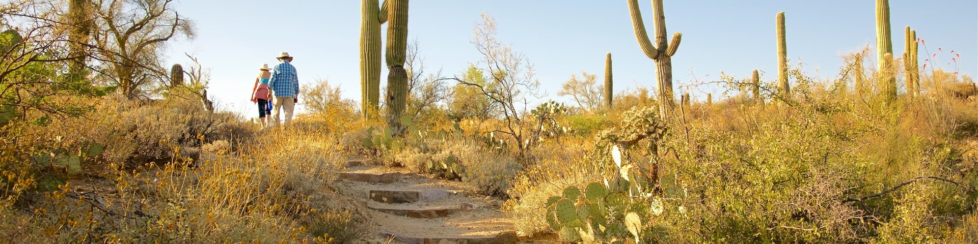 Freeman Homestead Trail
