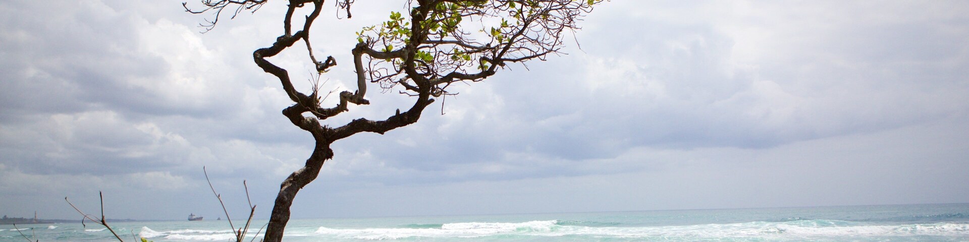 Malecón showing general coastal views