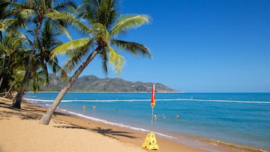 Uma praia com palmeiras, água azul cristalina e uma bandeira de salva-vidas.