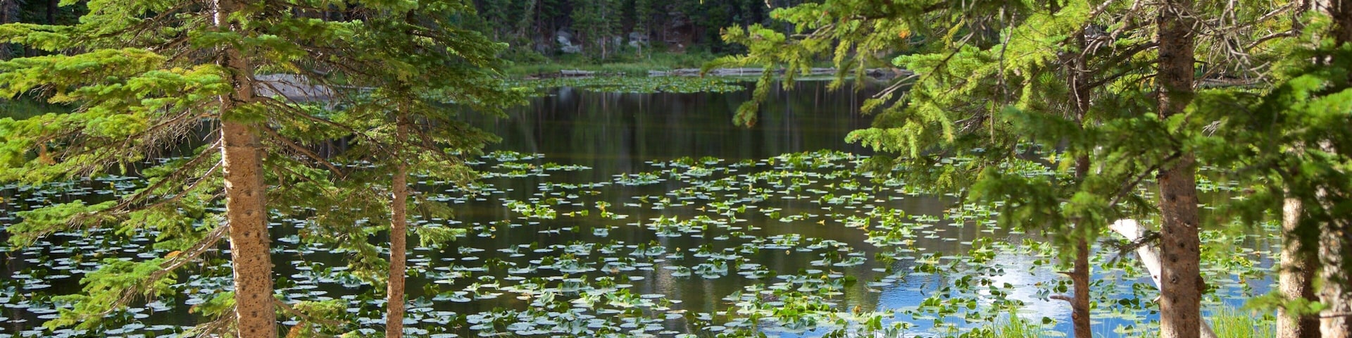 Nymph Lake