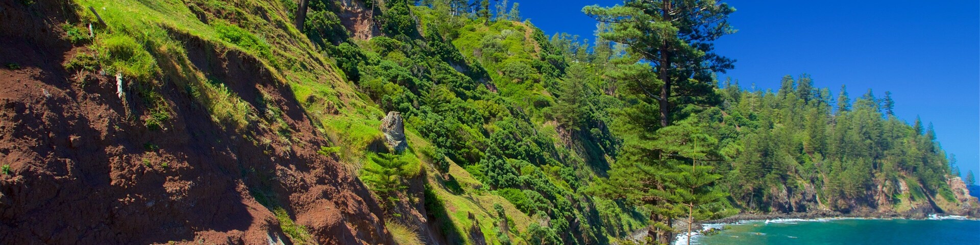 Norfolk Island which includes general coastal views and rocky coastline