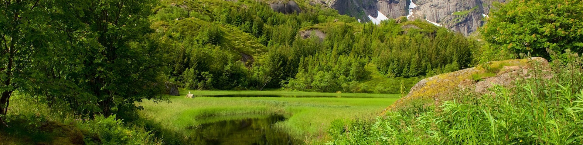 Leknes featuring mountains