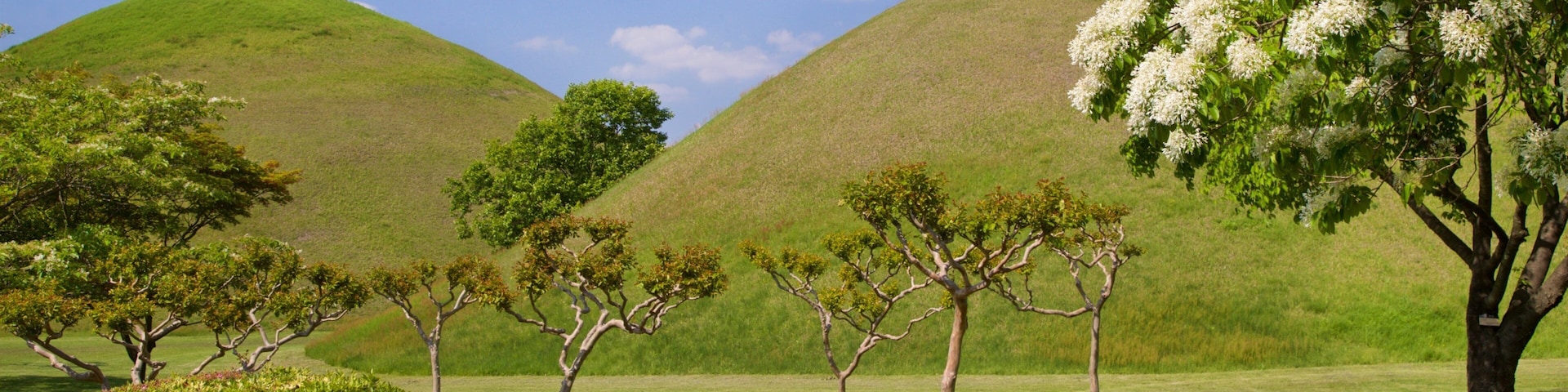 Paisagem com grama, várias árvores e colinas.