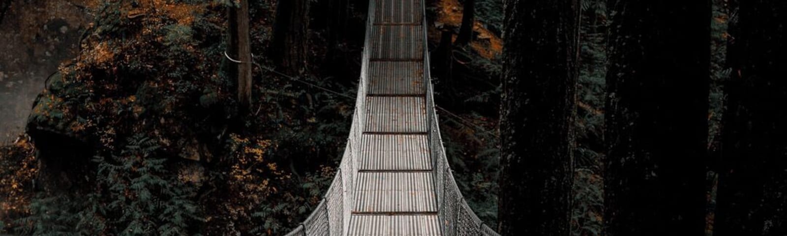 Uma ponte suspensa em uma floresta densa.