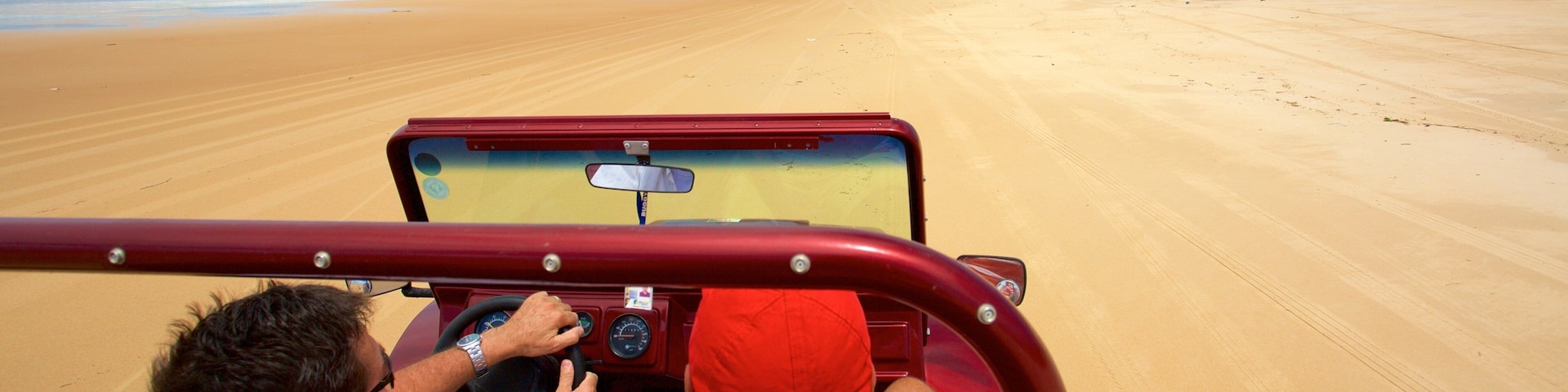 Natal which includes a beach, general coastal views and 4 wheel driving