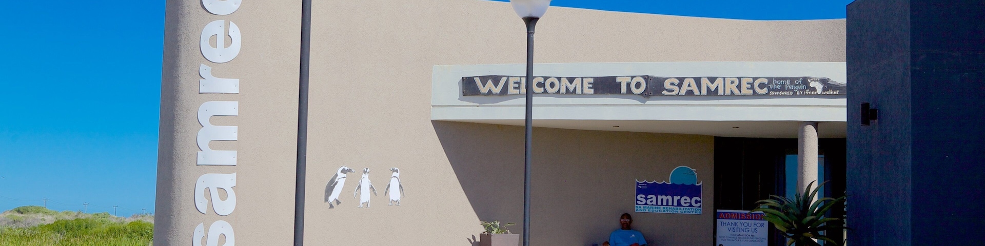 Port Elizabeth which includes marine life and signage