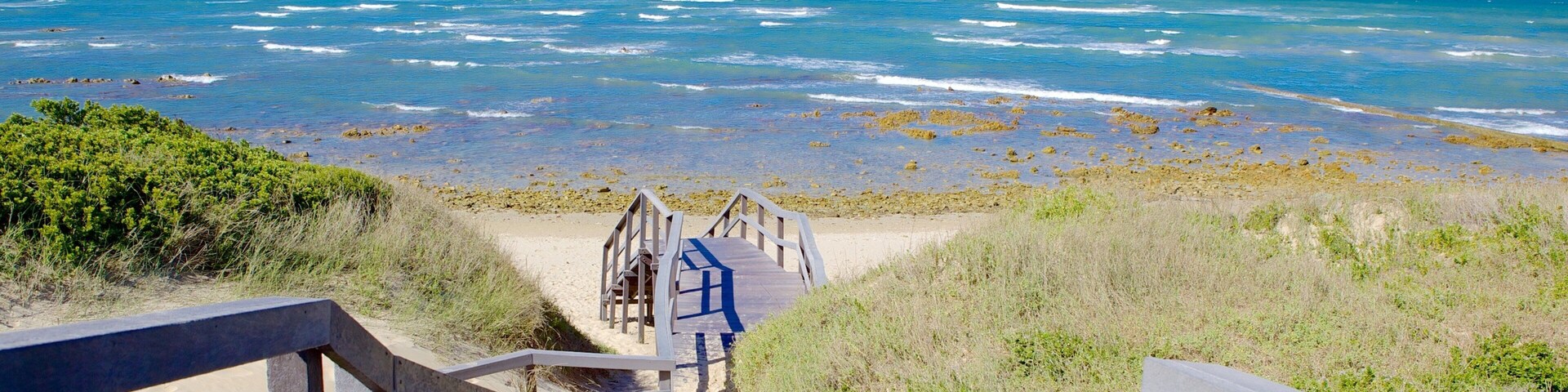 Port Elizabeth showing general coastal views and a sandy beach