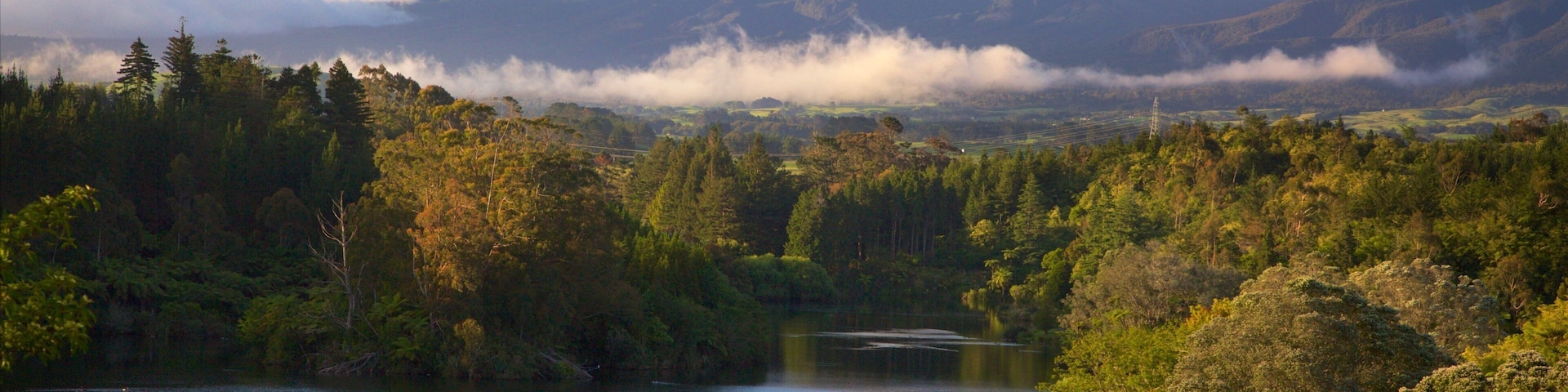 Taranaki caracterizando um lago ou charco, montanhas e cenas de floresta