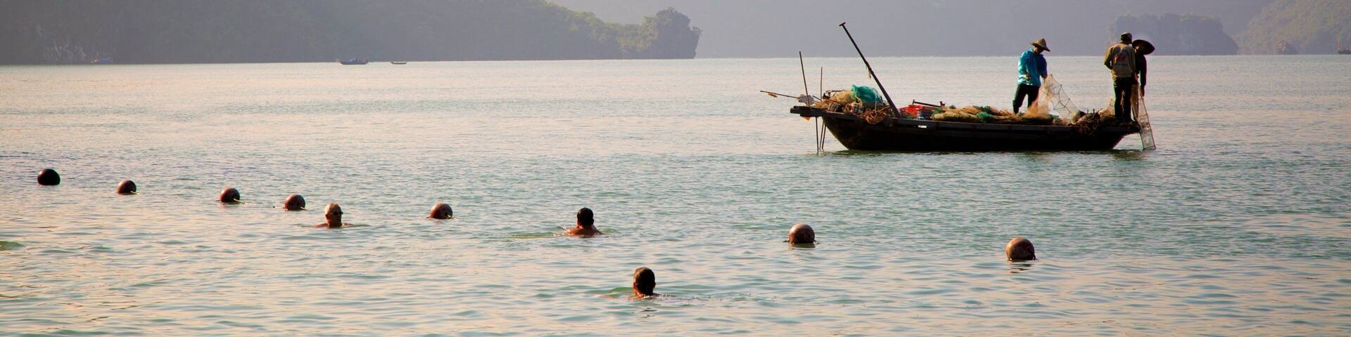 Halong Bay showing general coastal views and a bay or harbor