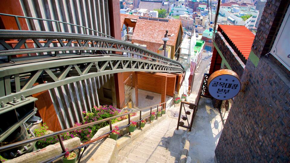 168 Stairs showing a city