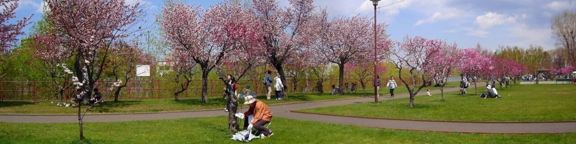 発寒河畔公園(Hassamu riverside park)