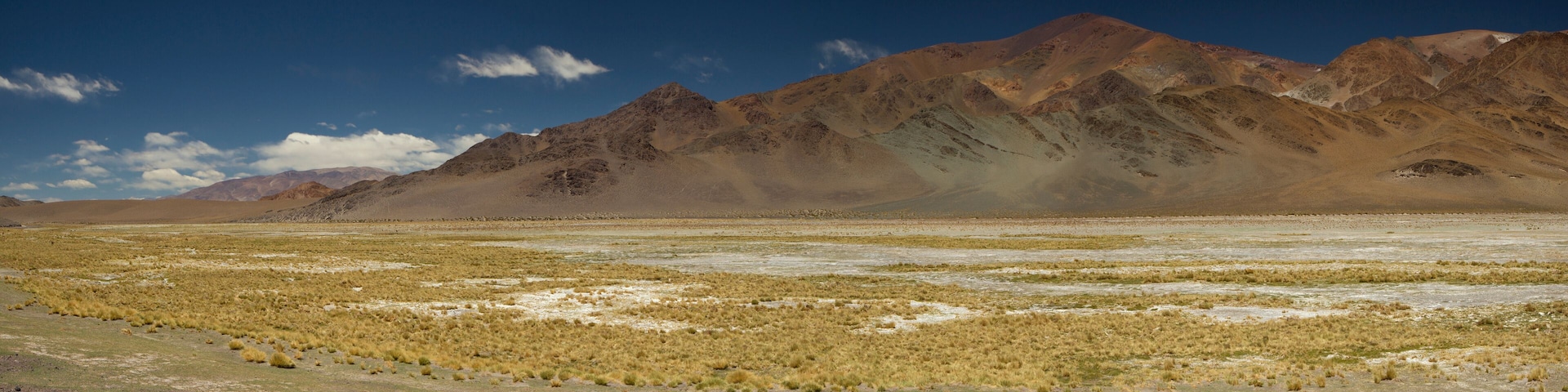 Vasta paisagem desértica com vegetação rala e montanhas ao longe, sob um céu claro.