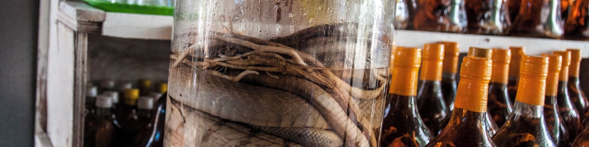 Snake wine anyone? This photo was taken in one of the many markets by the Mekong river in Vietnam.
And if you're wondering… nope! I didn't have the balls to try it.
#market #jakethesnakewine #snake #foodie #travel #wine #vietnam