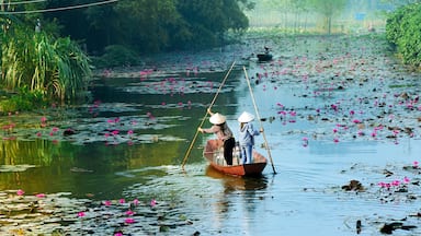 Um rio com flores de lótus e duas pessoas em um barco.