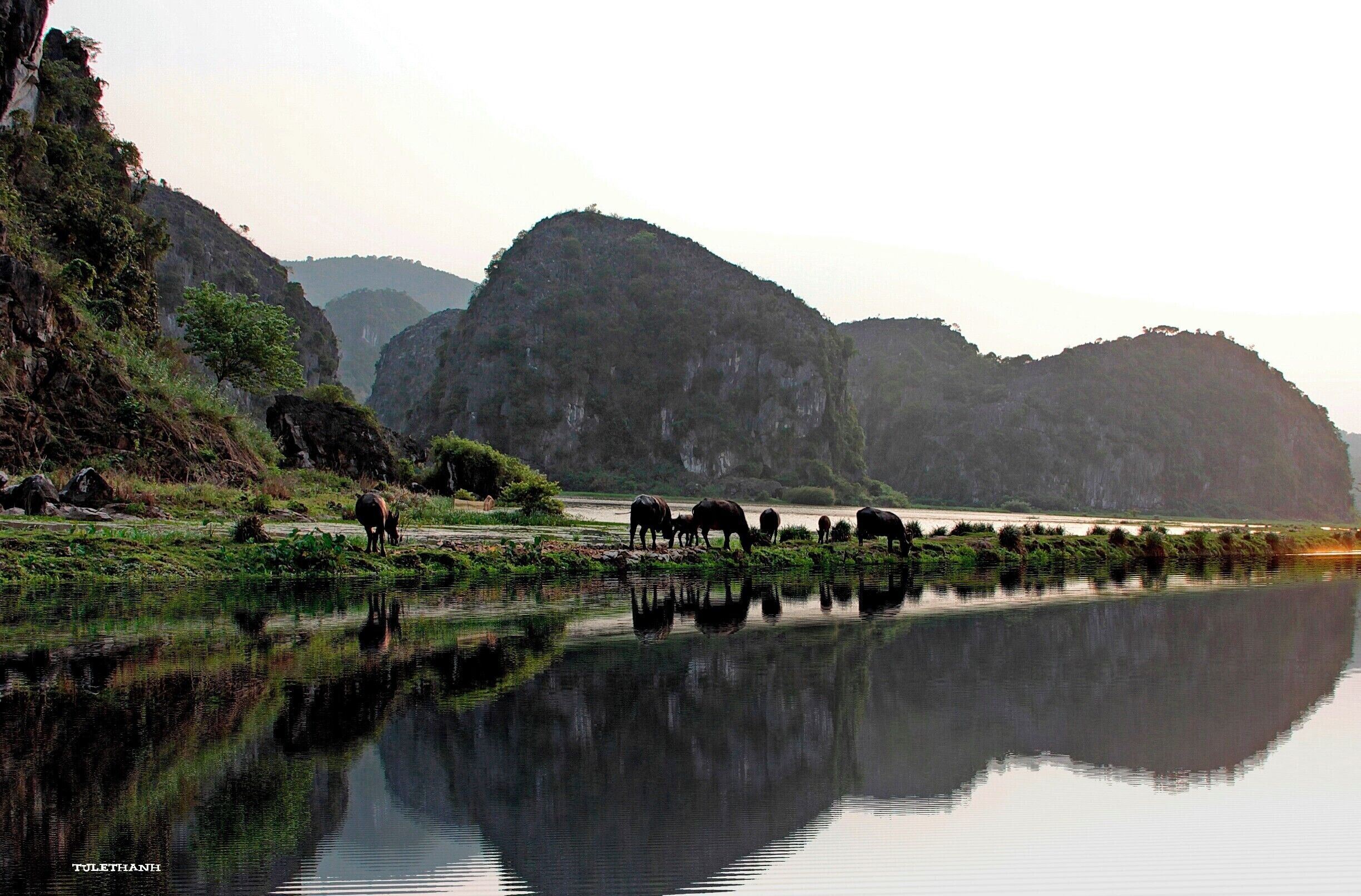 Um rio calmo com reflexos de elefantes e uma paisagem montanhosa.