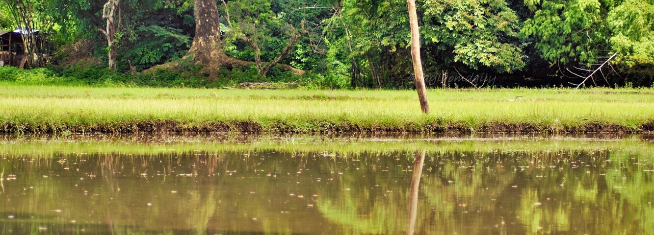 Um lago reflete árvores e uma placa de madeira em uma paisagem verde exuberante.