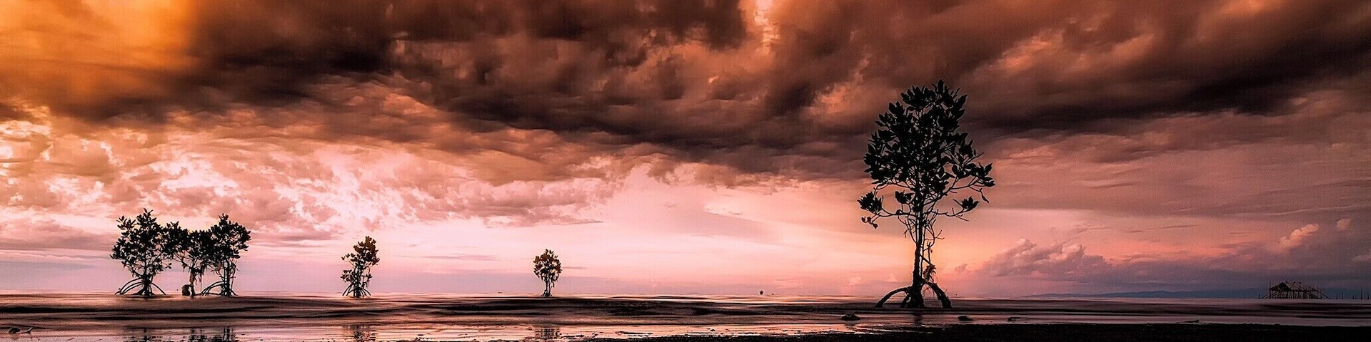 Taken while on holiday in the Philippines,this was taken on the beach near Jimenez.
I didn't have a tripod with me so rested the camera on a coconut husk..
#BvSquad.
