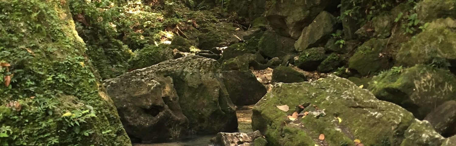 lush lush greeeen. 🌿