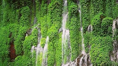 Uma cascata rodeada por vegetação exuberante.