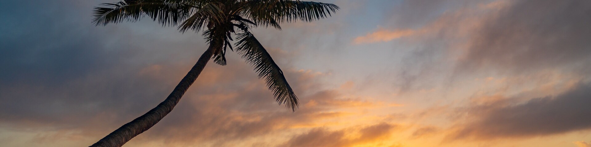 Sunrise at Oneta Resort.
It is truly a special place. The only way to get there is by boat. It’s a small resort with great food. There is world class fishing and diving from the resort and a manta day cleaning station where you can snorkel and dive with mantas only a 5 minute boat ride away.