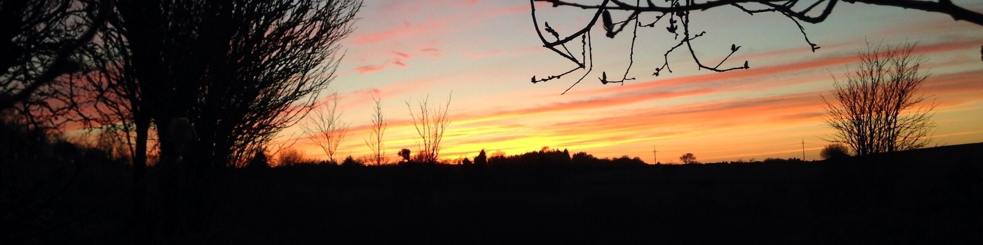 This was taken in my back garden. Such a beautiful sunset 🌅