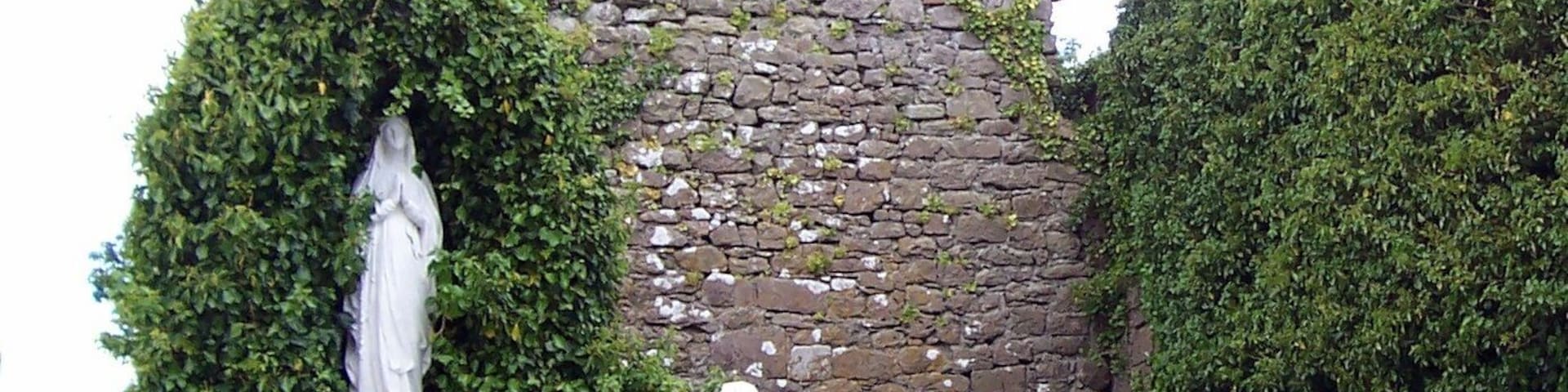 Mayo Abbey Ruin
Founded by St Colman of Lindesfarne circa 670, St Colman's Famine church was opened in 1845 and is located off to the left, to the right is the Grave Yard where  my Wife's Grandparents and other Kin are buried.
I heard a humming coming from the fireplace in the ruin and stuck my head inside, I soon beat a hasty retreat when I realized there was a Bee's nest within.