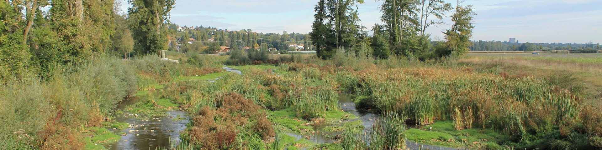 Geneva Countryside in Autumn