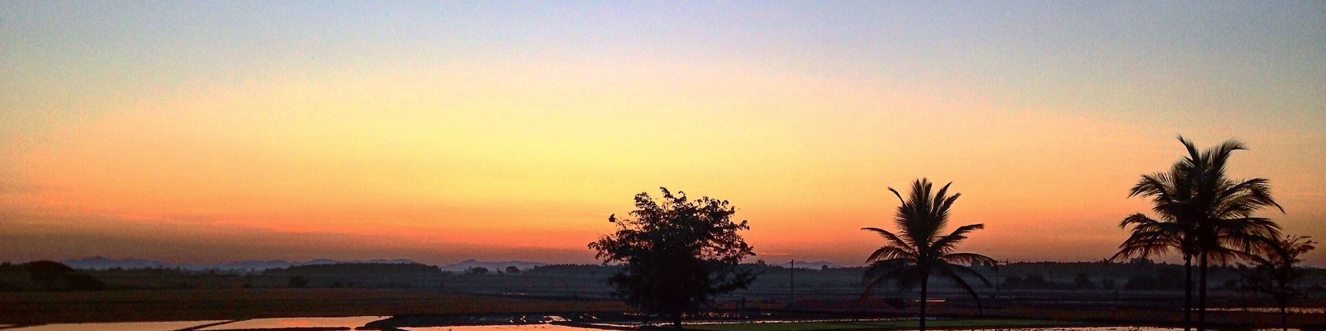 An early morning drive to Shimoga and I had to stop on the highway for this beauty. An hour away is Chikmangalur a coffe plantation area dotted with beautiful scenery.