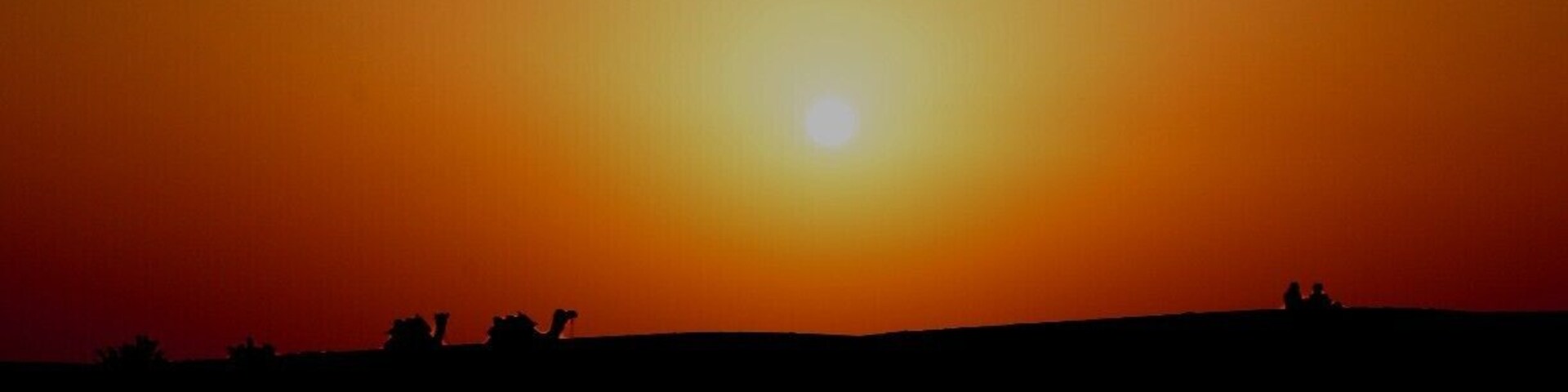 On a sunset camel safri in the Tar desert just outside of Jaisalmer, India.