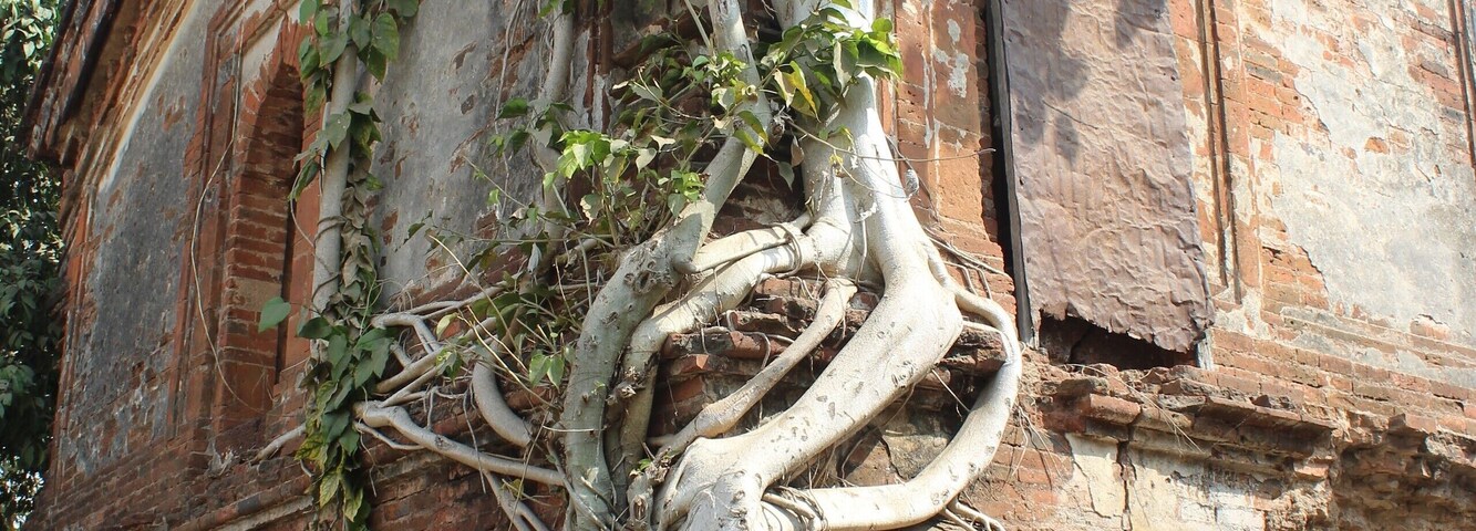 Raja Bir Hambir's temple. Approximately 17th century.