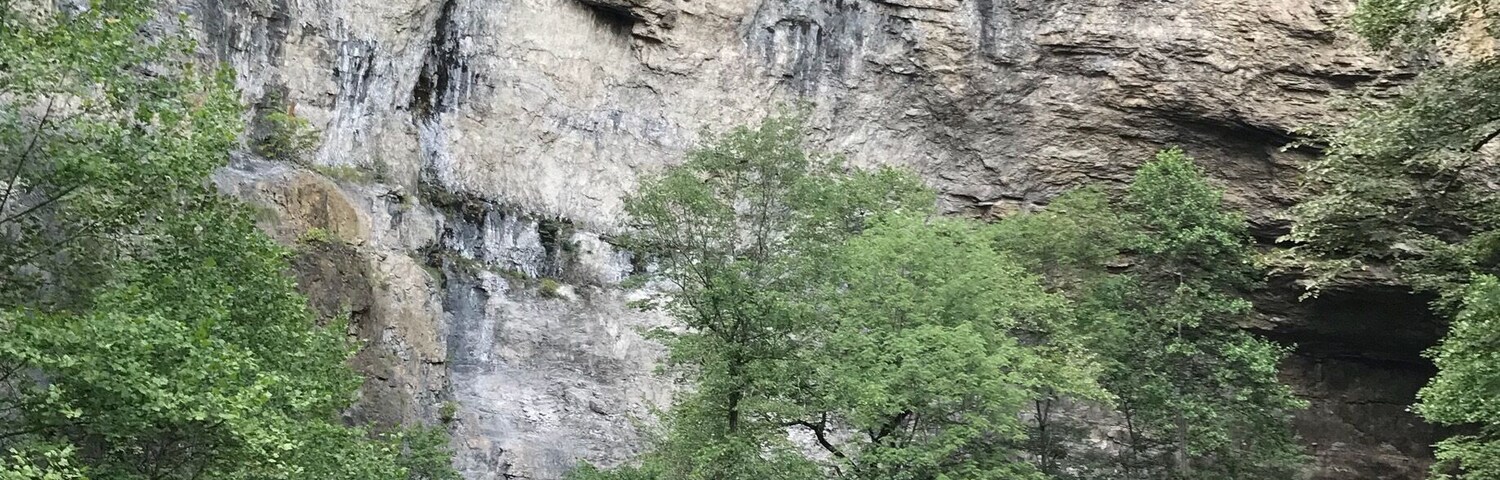 Pictures don’t do this justice. Great stop off us US 23 in Duffield VA