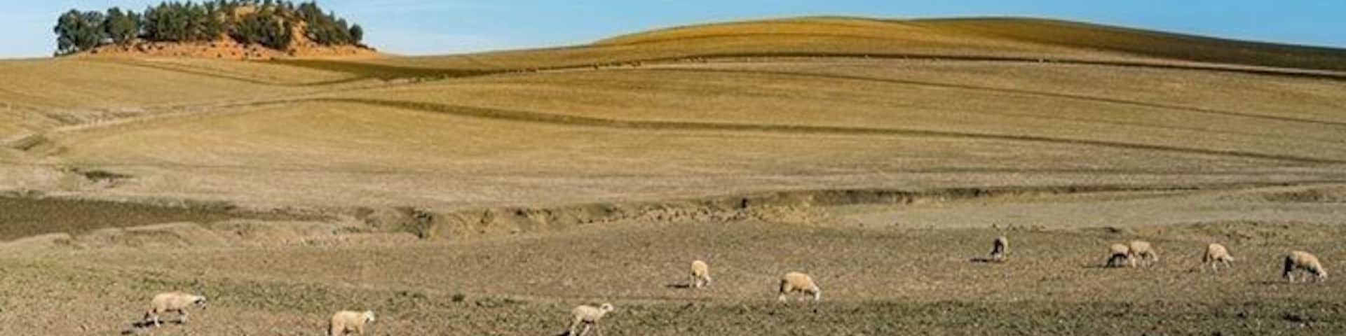 SomeWhere In The Morocco II Morocco
"人生過客匆匆,相機抓住每個剎那,與我擦肩而過的人和事"