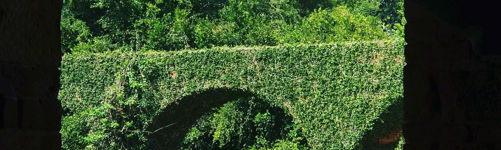 Historia de Colombia de luchas y batallas