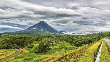 Uma estrada sinuosa com uma montanha ao fundo.