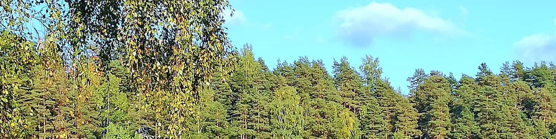 Armijärvi is about 800 metre long and 150 metre wide groundwater lake. At its deepest about 9 metre.
Armi Kuusela was chosen to Miss Universum 1952. Finnish people were so proud of her because her father was from Finland even tough she was born in Canada Ontario. It`s told that her father chose her name because of the beauty of lake Armijärvi.