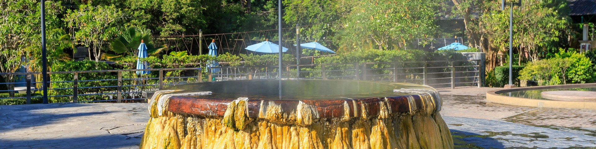 Uma nascente termal com uma bacia de pedra rodeada por vegetação e uma cerca.
