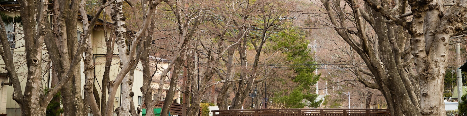 Maple Corridor showing a bridge
