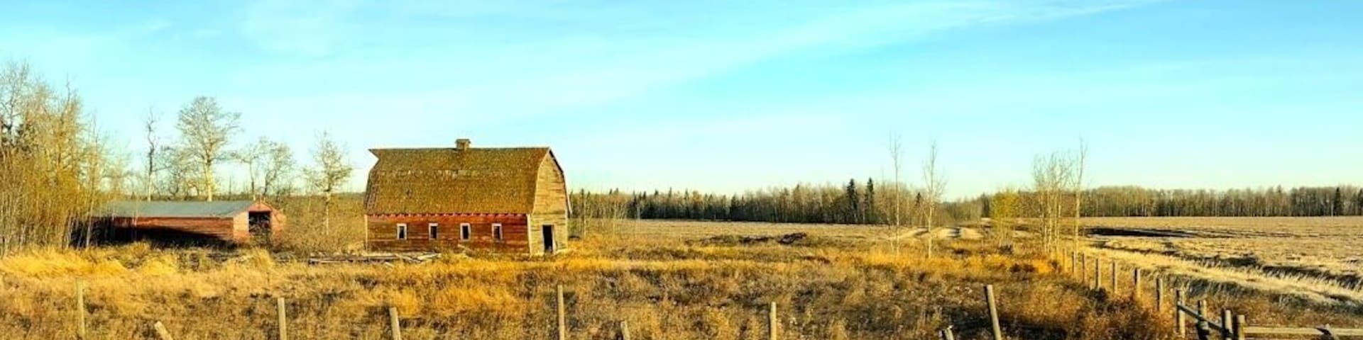 Abandoned barns along Alberta Highway 39 near Warburg on a Fall day. 
#Fall #barns #Nature