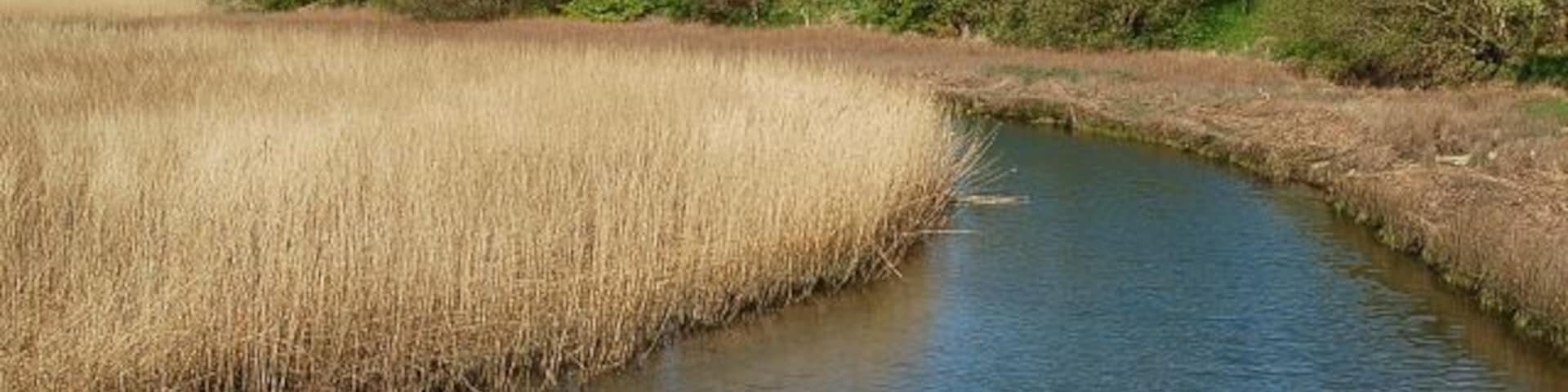 Motray Burn The Motray Burn from the old road bridge at Guardbridge.