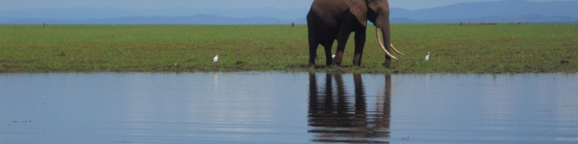 We spent a few days on a house boat on Lake Kariba. The wildlife we saw was amazing! Loads of elephants along the shore a and lots of hippos! Some hippos rocked our tender boat which was a bit scary haha but we made it out of that spot quickly!!