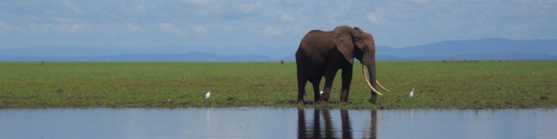 We spent a few days on a house boat on Lake Kariba. The wildlife we saw was amazing! Loads of elephants along the shore a and lots of hippos! Some hippos rocked our tender boat which was a bit scary haha but we made it out of that spot quickly!!