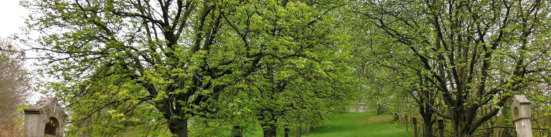 Kreuzweg zum Barbaraberg 1