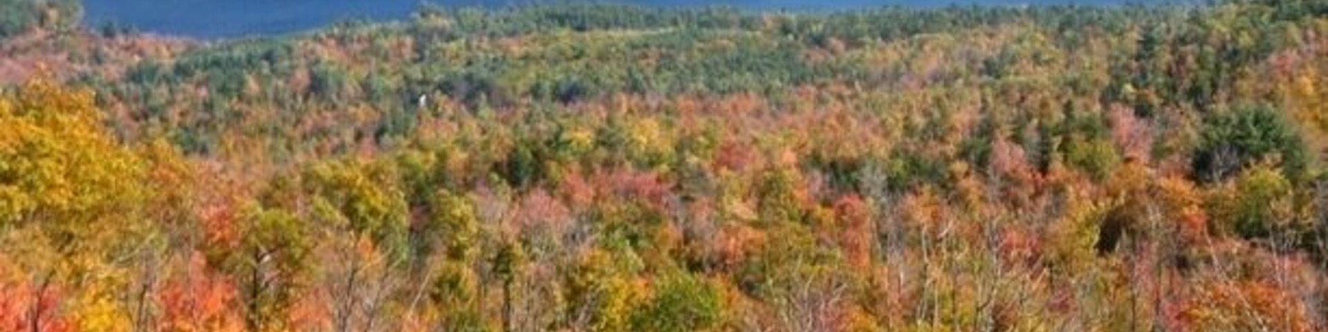 Worthley Pond
Peru, ME