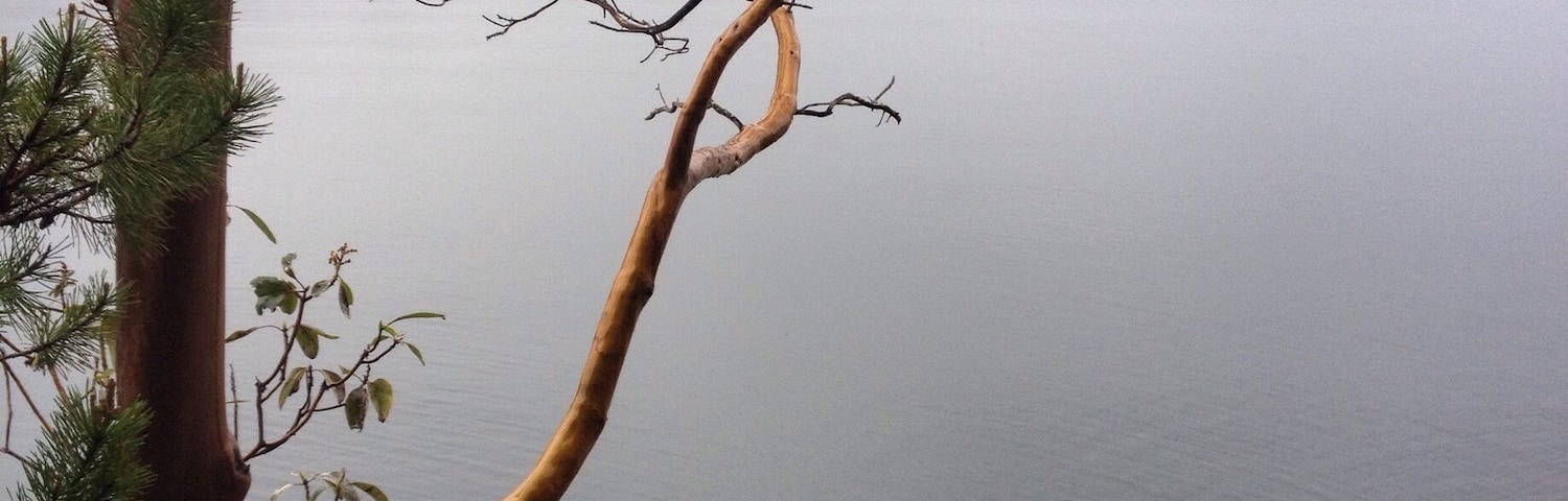 Top of the bluff above the dinghy dock.