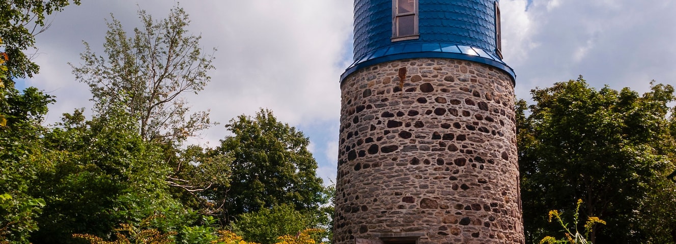 Uma torre azul com uma bandeira, rodeada por vegetação e flores amarelas.