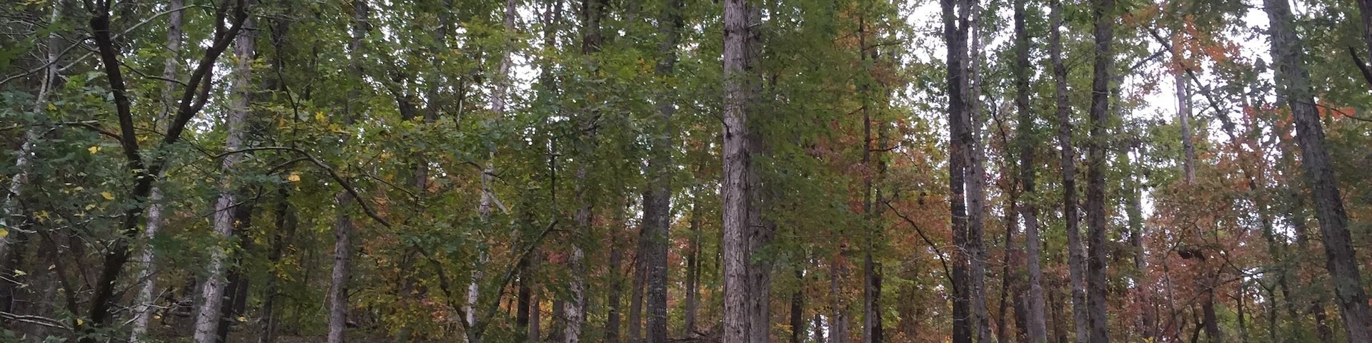 If you walk the gravel road into the nature preserve the views are incredible.