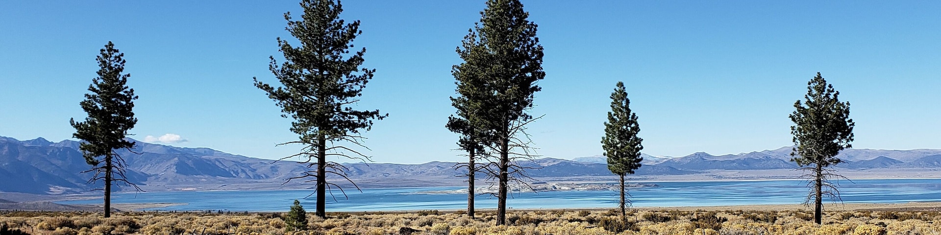 Looking  at Mono Lake