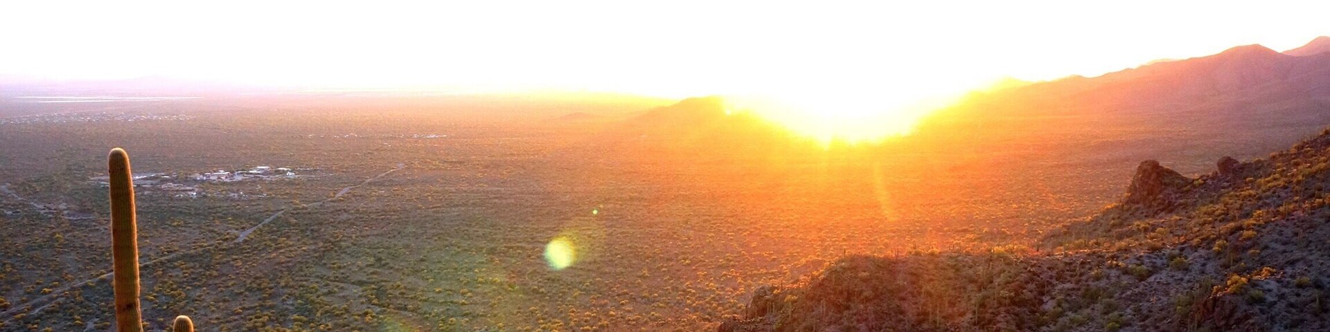 Paisagem desértica com um cacto em primeiro plano e um pôr do sol ao fundo.