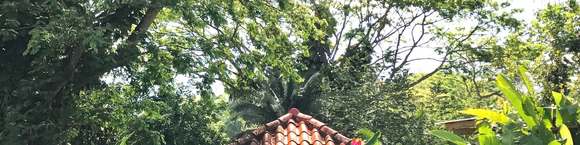 One of the best experiences that I had in Jamaica was visiting the Rastafarian Village and speaking with its residents. They have such beautiful outlooks on life and it was truly inspiring! This is something you must do if you are visiting the Montego Bay Area!